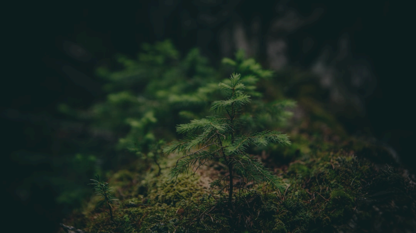 EXIF Metadata 101: How to Read Photo GPS Data (and What to Do When It’s ...