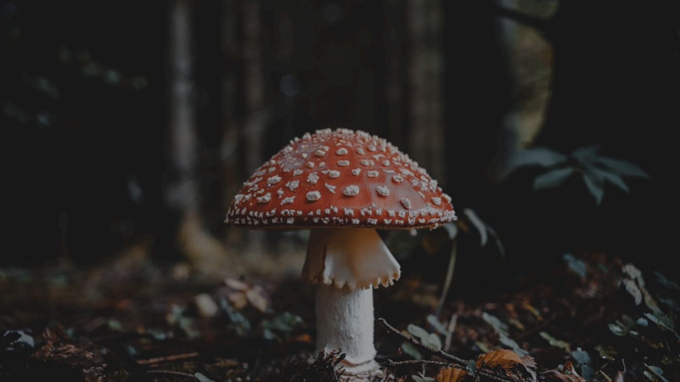 How to Find Where a Picture Was Taken (5 Methods from Beginner to ...