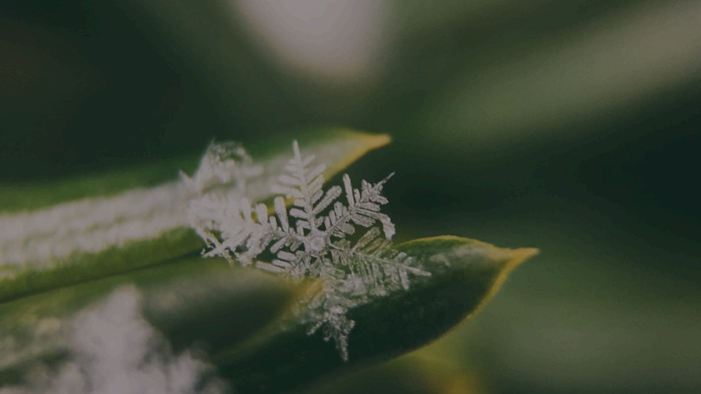 How to Geolocate a Photo: A Step‑by‑Step Guide for Beginners | Where is ...