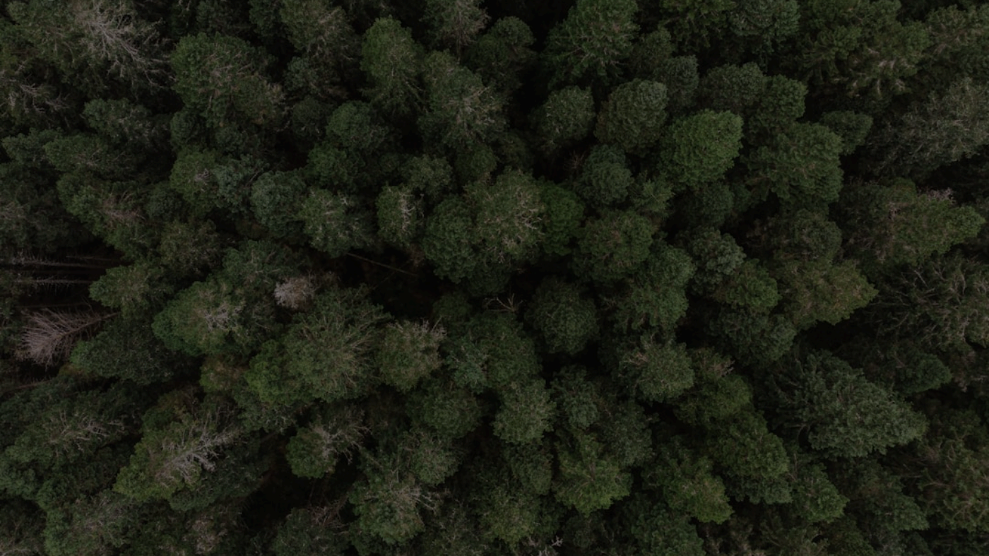 How to Geolocate a Photo: A Step‑by‑Step Guide for Beginners | Where is ...