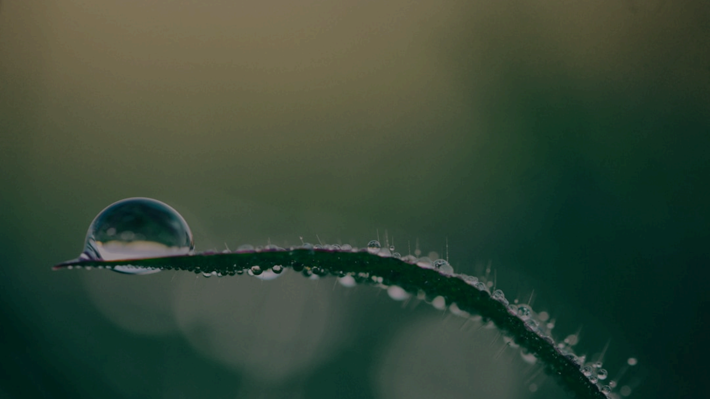 Reverse Image Search vs AI Photo Locator: Which Is Better for Finding a ...